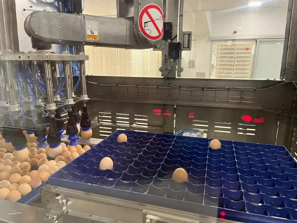 Solutions - Innovatec Hatchery Automation