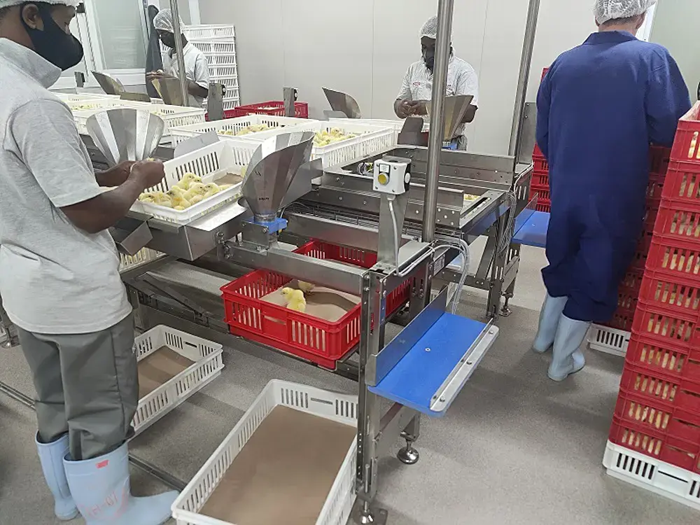 Solutions Innovatec Hatchery Automation